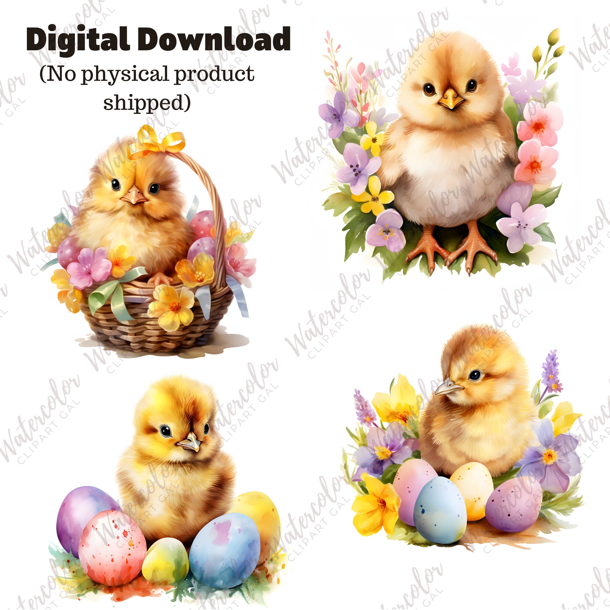 Easter Baby Chick Clipart Watercolor Bundle | Easter PNG | Easter ...