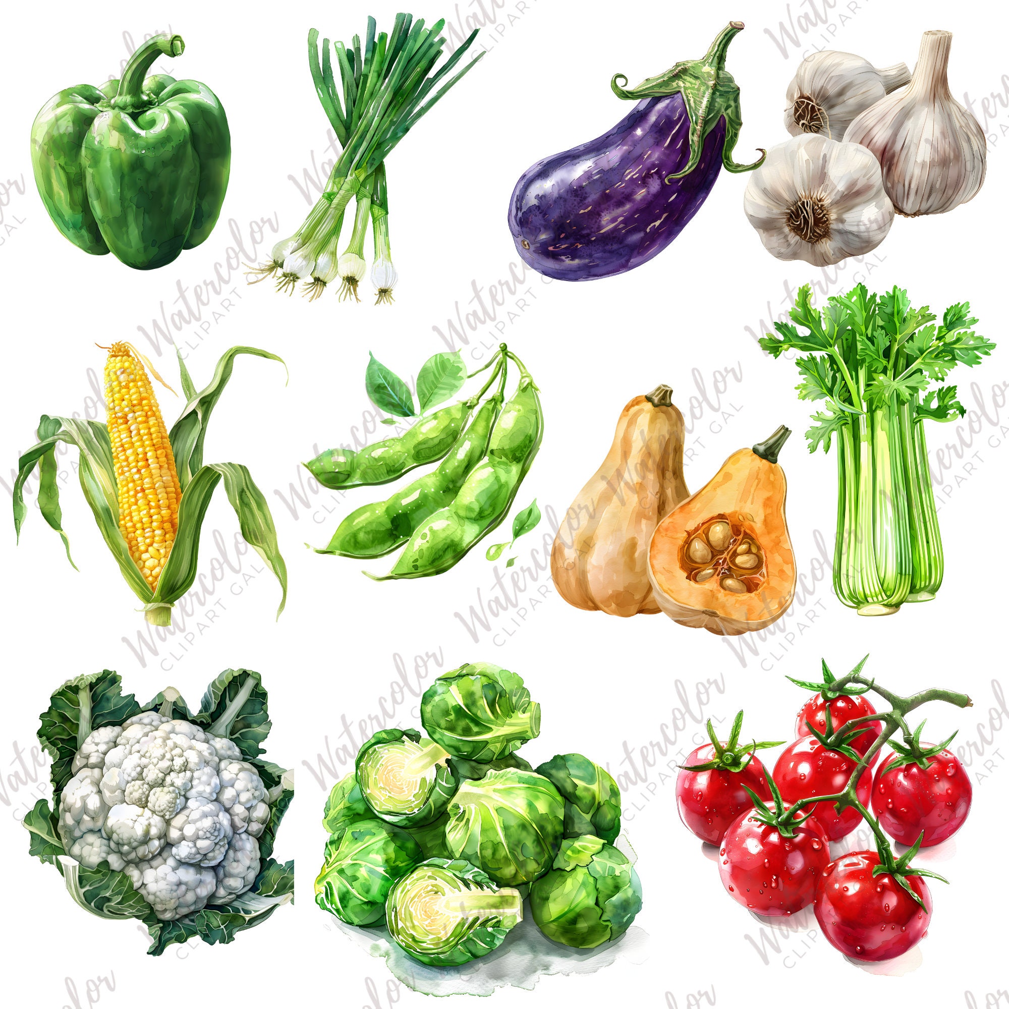 Vegetable Clipart Watercolor Bundle | Vegetable Plant PNG | Food ...