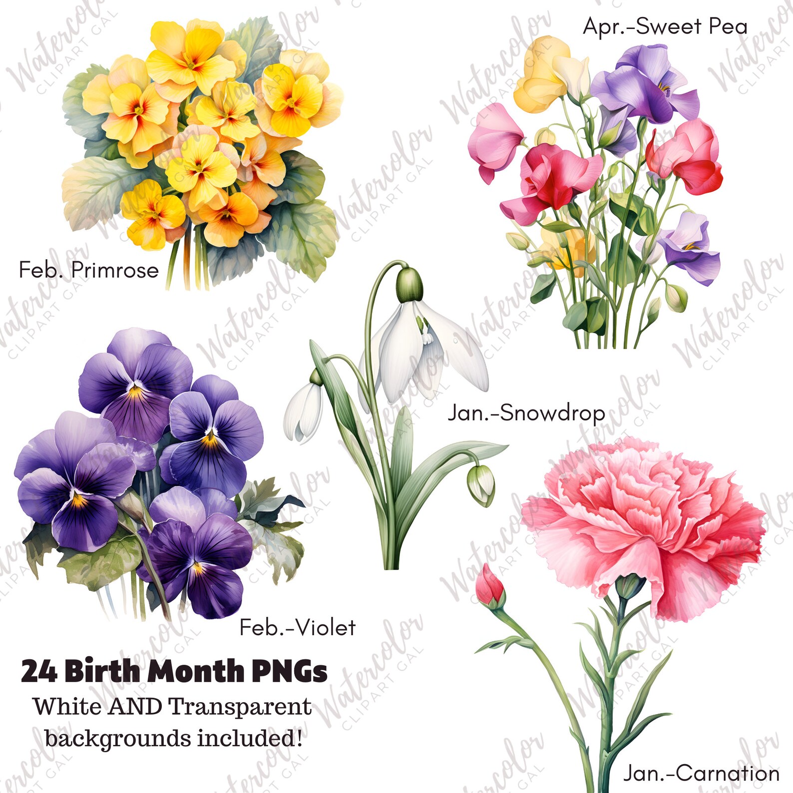 Birth Month Flower Clipart PNG Watercolor Bundle | Birth Flower PNG ...
