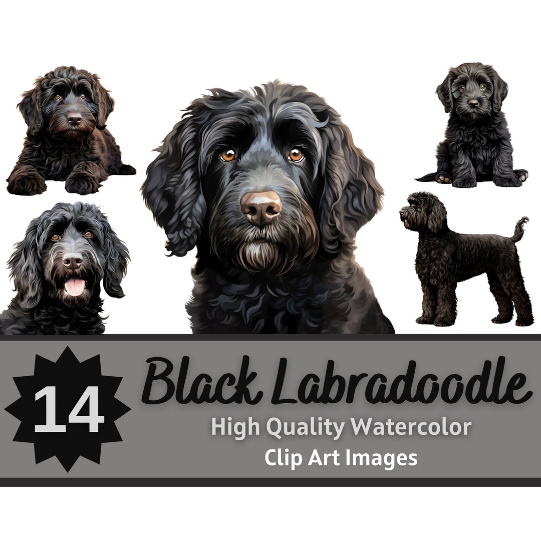 Black Labradoodle Clipart Watercolor Bundle | Dog Portrait ...