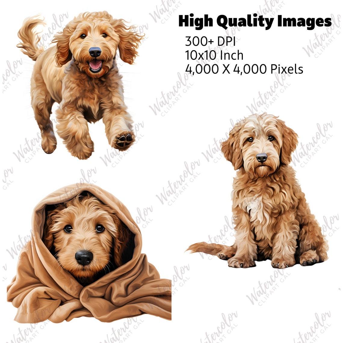 Goldendoodle Clipart Watercolor Bundle Dog Portrait Golden - Etsy