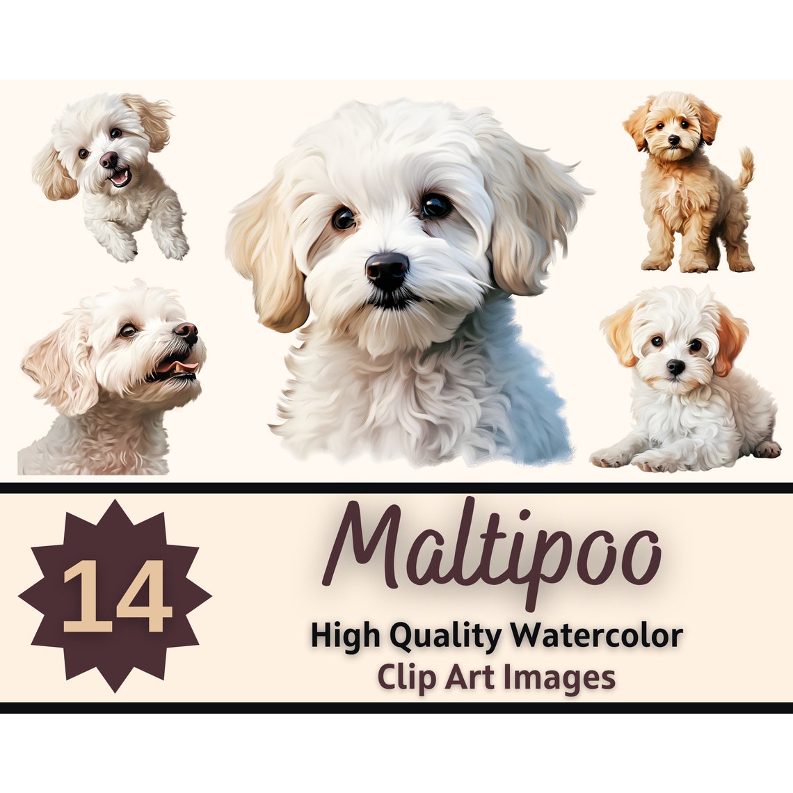Maltipoo Clipart Watercolor Bundle Dog Portrait Maltipoo - Etsy