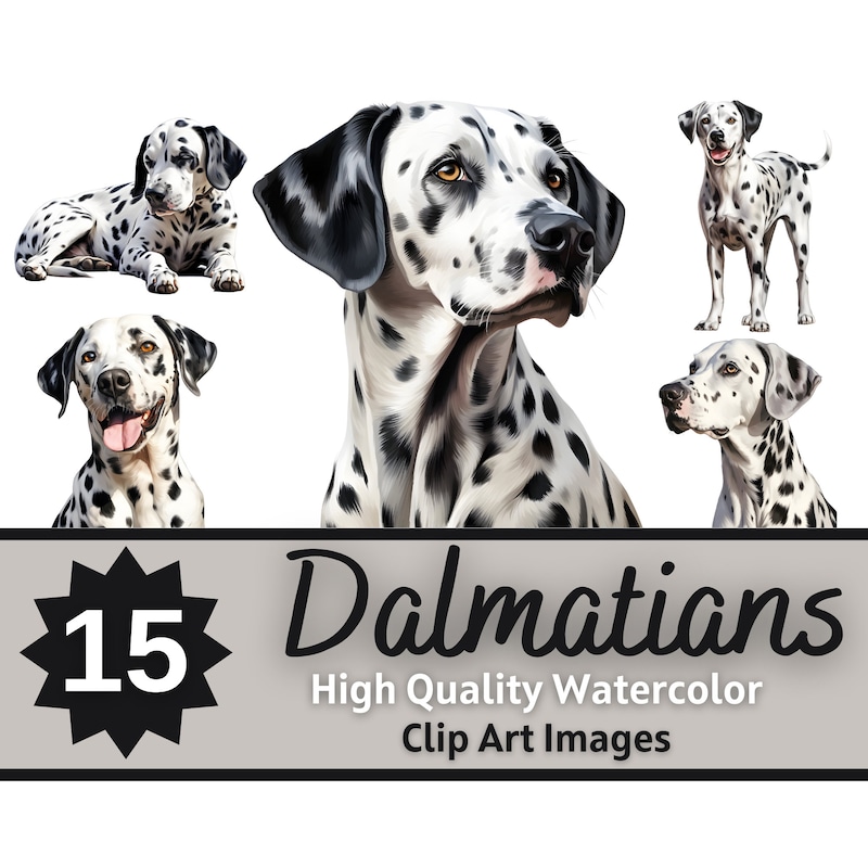 Dalmatian - Etsy