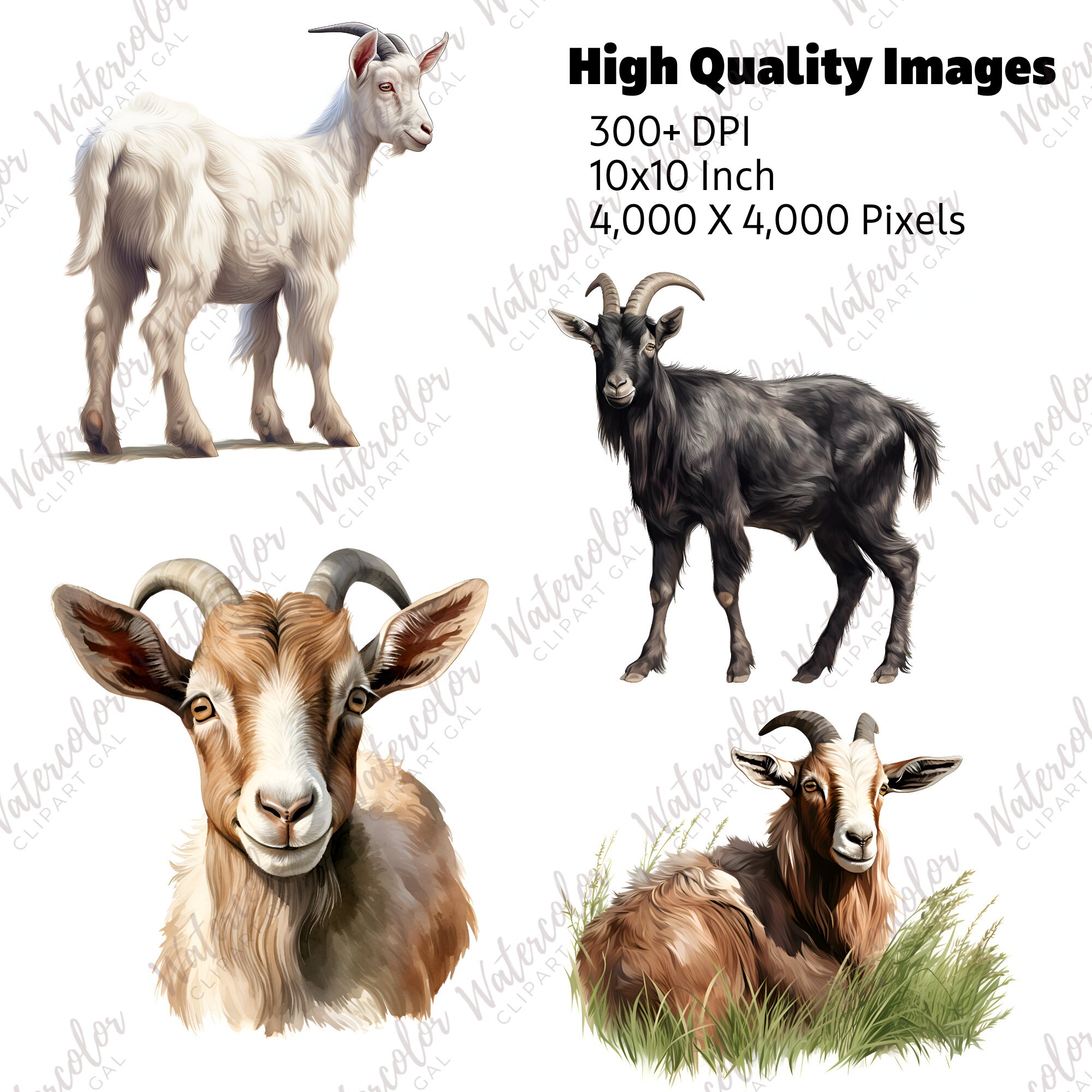 Goat Clipart Watercolor Bundle Cute Animal Clipart Barnyard Birthday ...