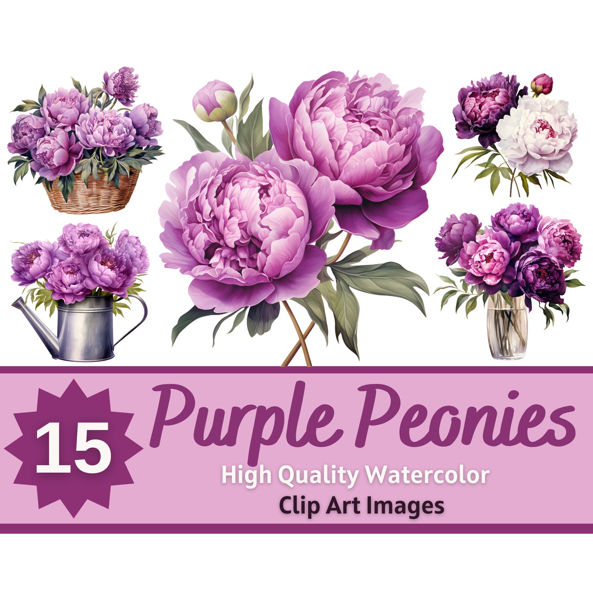 Purple Clip Art Peony Watercolor Watercolor Clipart Northern Light,