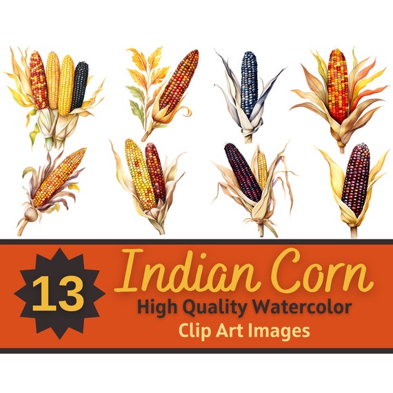Watercolor Indian Corn Template