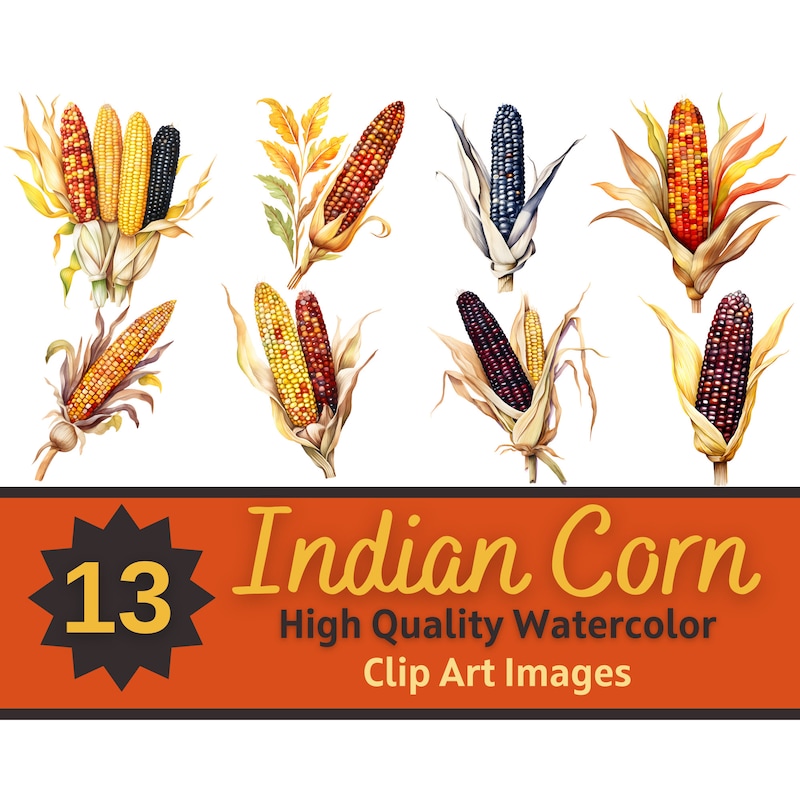 Indian Corn - Etsy