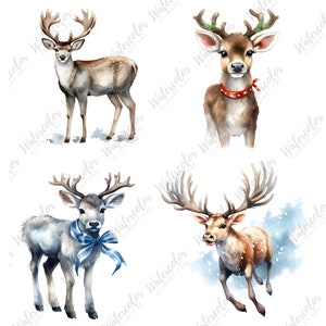 Santa's Reindeer Clipart PNG Watercolor Bundle | Christmas Reindeer ...