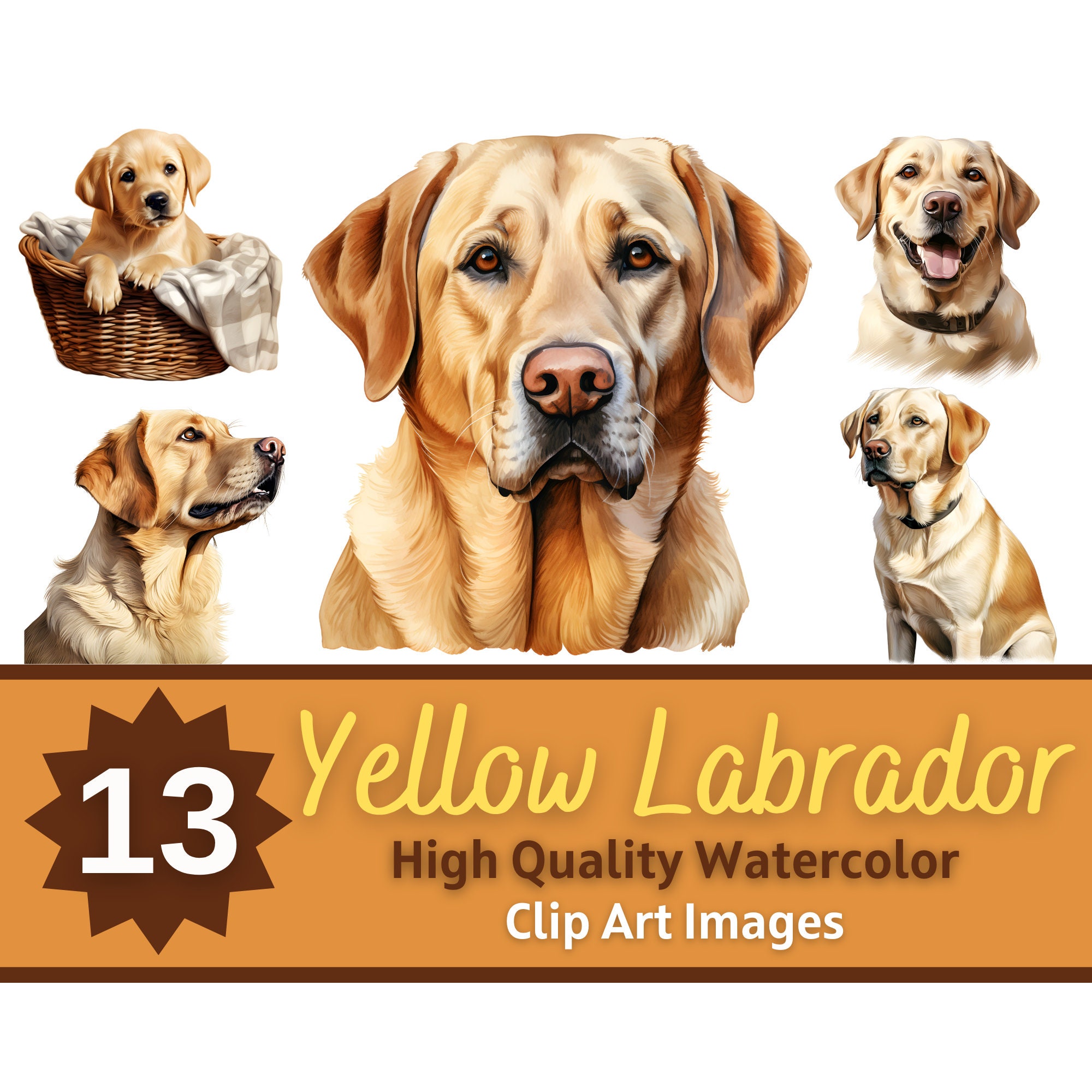 Yellow Labrador Clipart Watercolor Bundle Dog Portrait Yellow Lab PNG ...