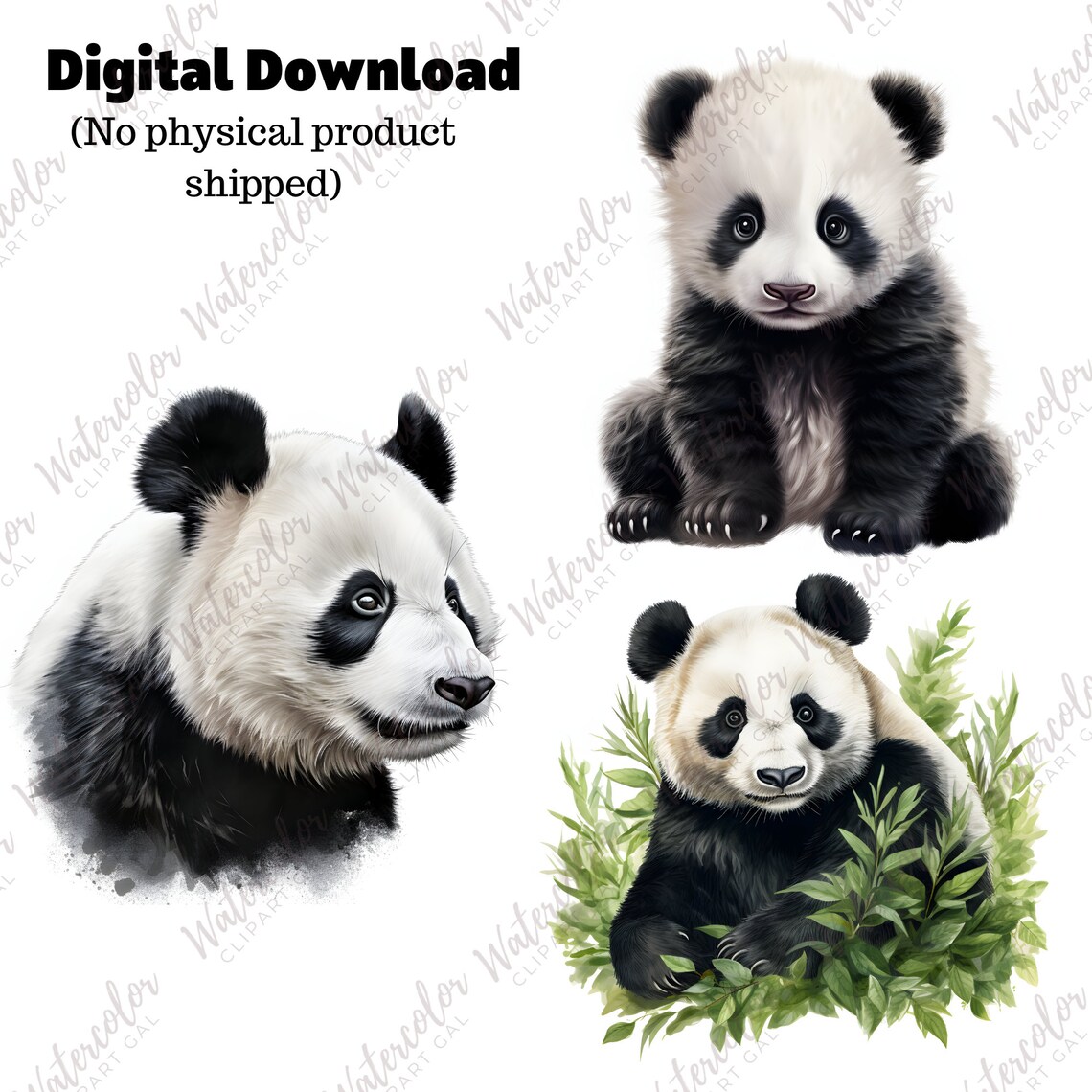 Cute Panda Clipart Watercolor Bundle Cute Panda PNG Cute - Etsy