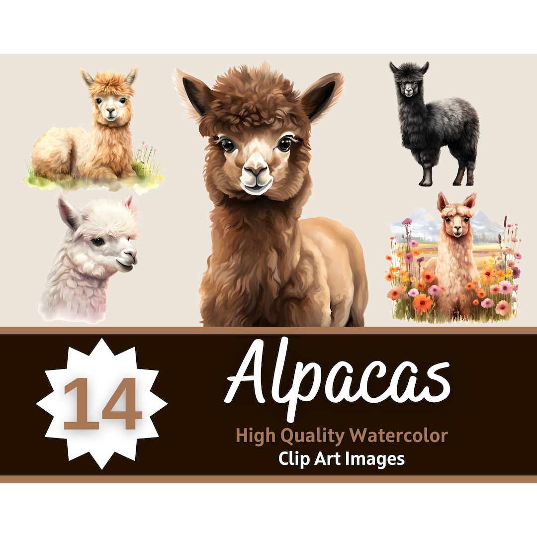 Alpaca Clipart PNG Watercolor Bundle | Cute Animal Clipart | Barnyard ...