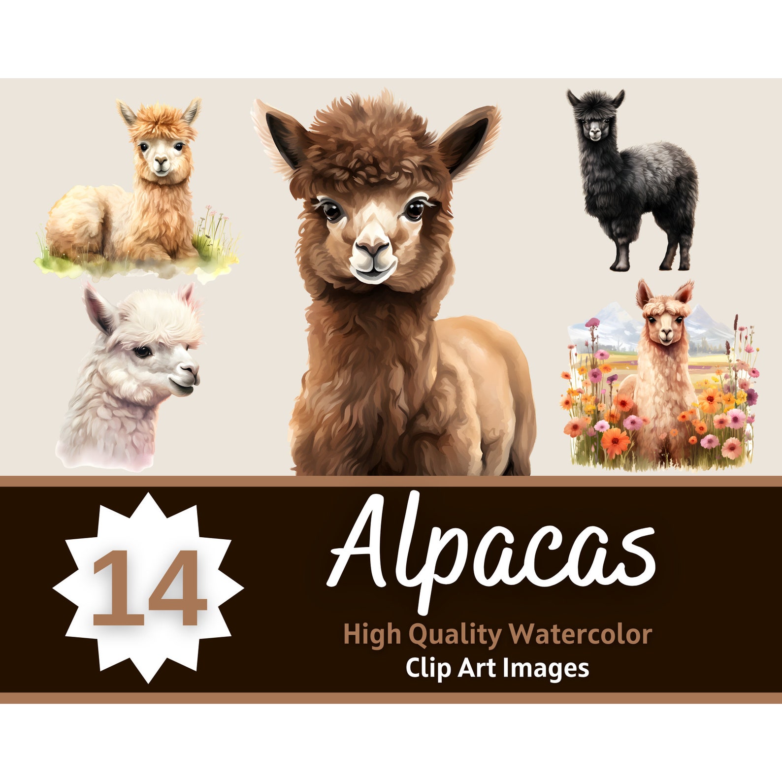 Alpaca Clipart PNG Watercolor Bundle Cute Animal Clipart Barnyard ...