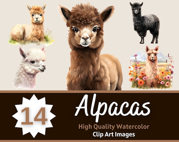 Alpaca Clipart Bundle - Png Farm Animals & Farmhouse Props, Cute ...