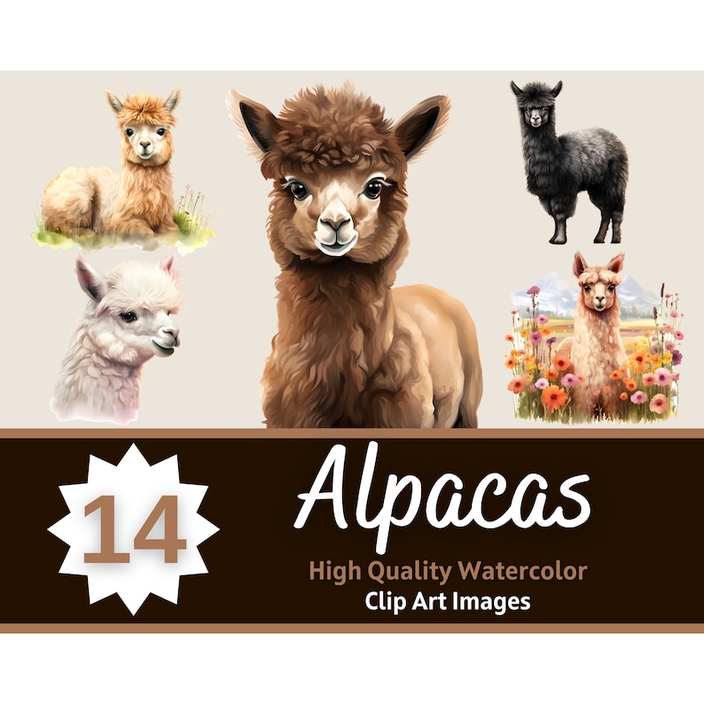 Alpaca Clipart PNG Watercolor Bundle | Cute Animal Clipart | Barnyard ...
