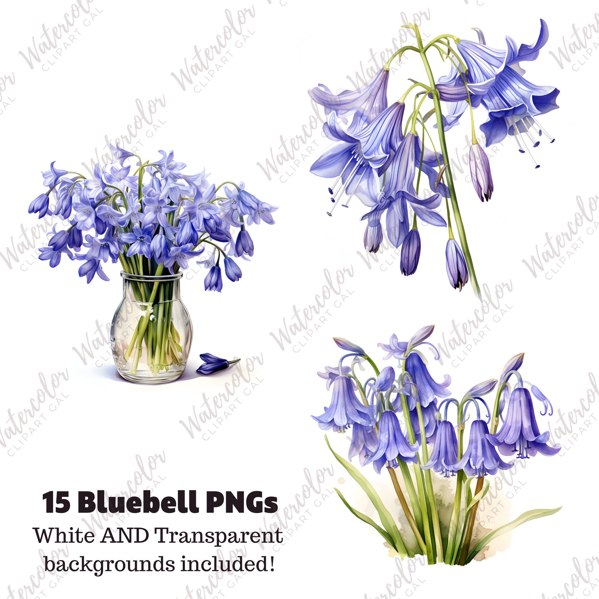 Bluebell Clipart Watercolor Bundle Bluebell Flower PNG Floral Clipart ...