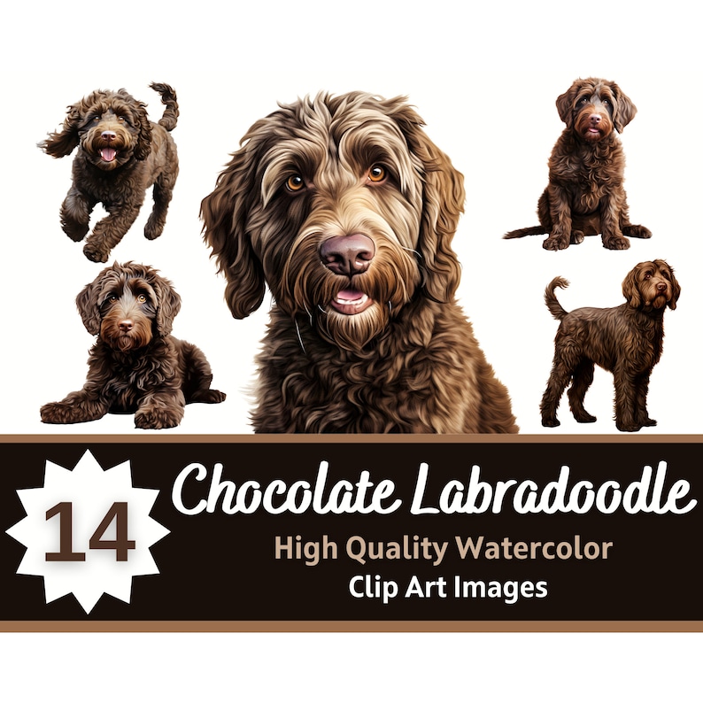 Chocolate Labradoodle Clipart Watercolor Bundle Dog Portrait ...