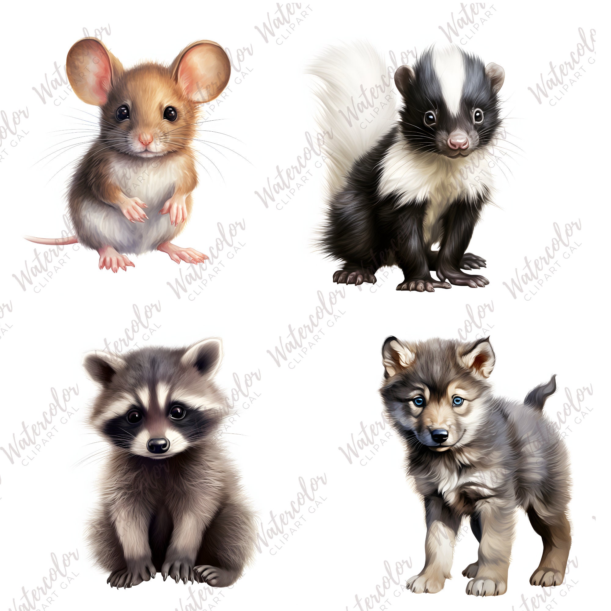 Baby Woodland Animals Clipart Watercolor Bundle Woodland - Etsy