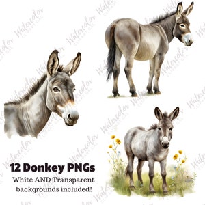 Donkey Clipart Watercolor Bundle | Cute Animal Clipart | Barnyard ...
