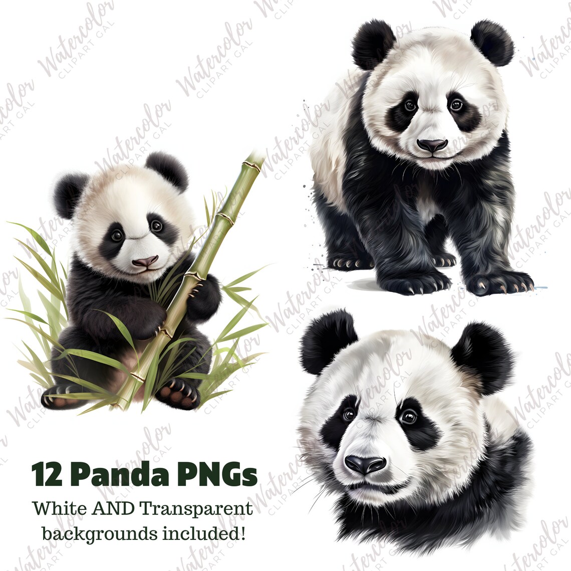 Cute Panda Clipart Watercolor Bundle Cute Panda PNG Cute - Etsy