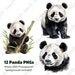 Cute Panda Clipart Watercolor Bundle Cute Panda PNG Cute - Etsy