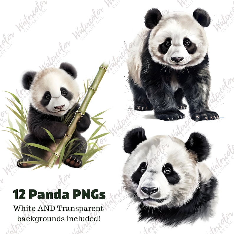 Cute Panda Clipart Watercolor Bundle Cute Panda PNG Cute - Etsy