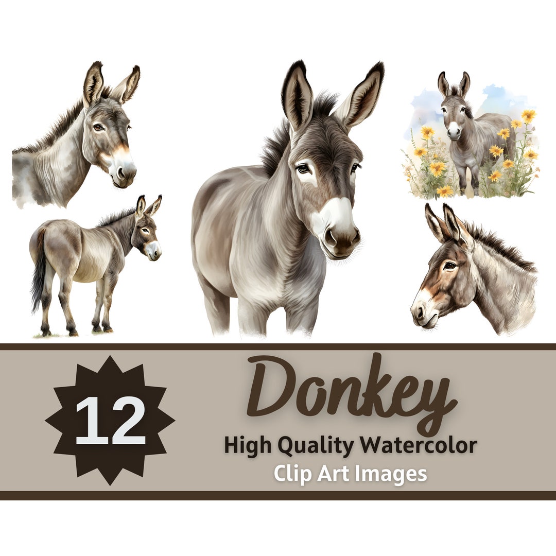 Donkey Clipart Watercolor Bundle | Cute Animal Clipart | Barnyard ...