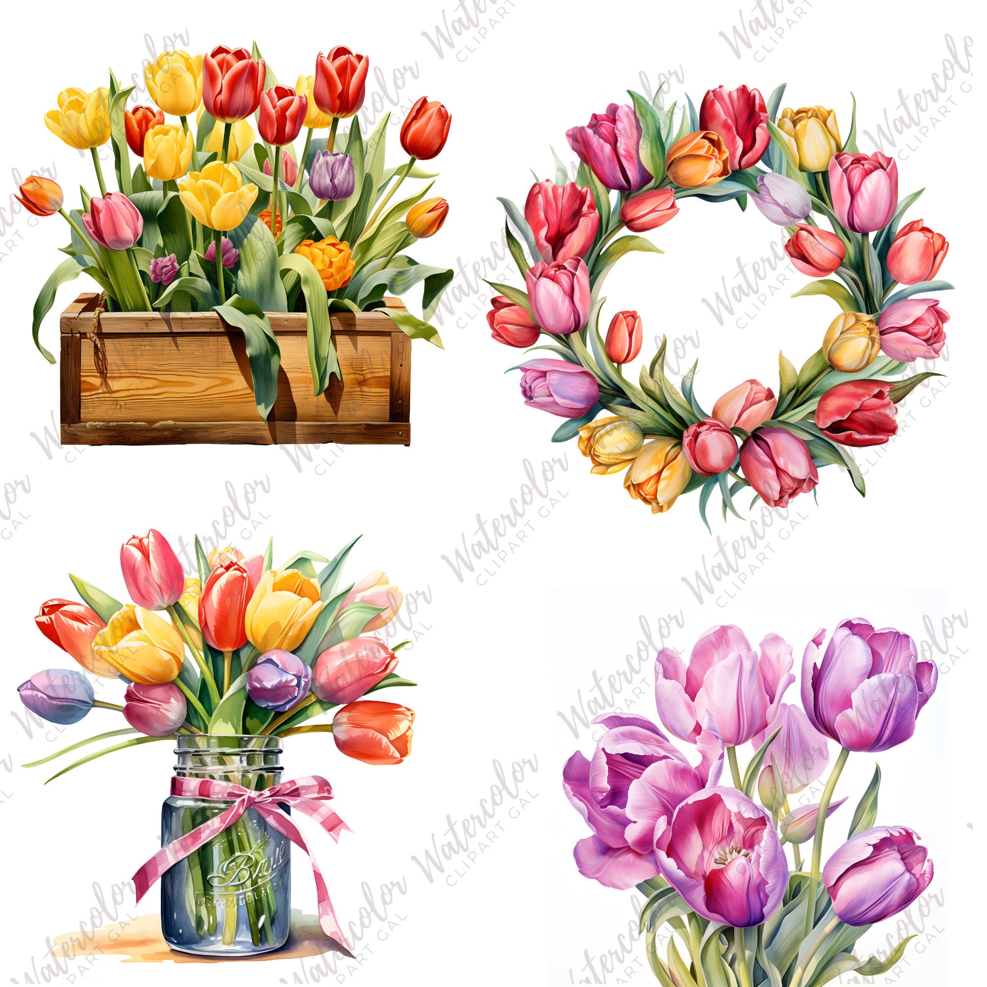 Tulip Clipart PNG Watercolor Bundle Tulip PNG Floral - Etsy
