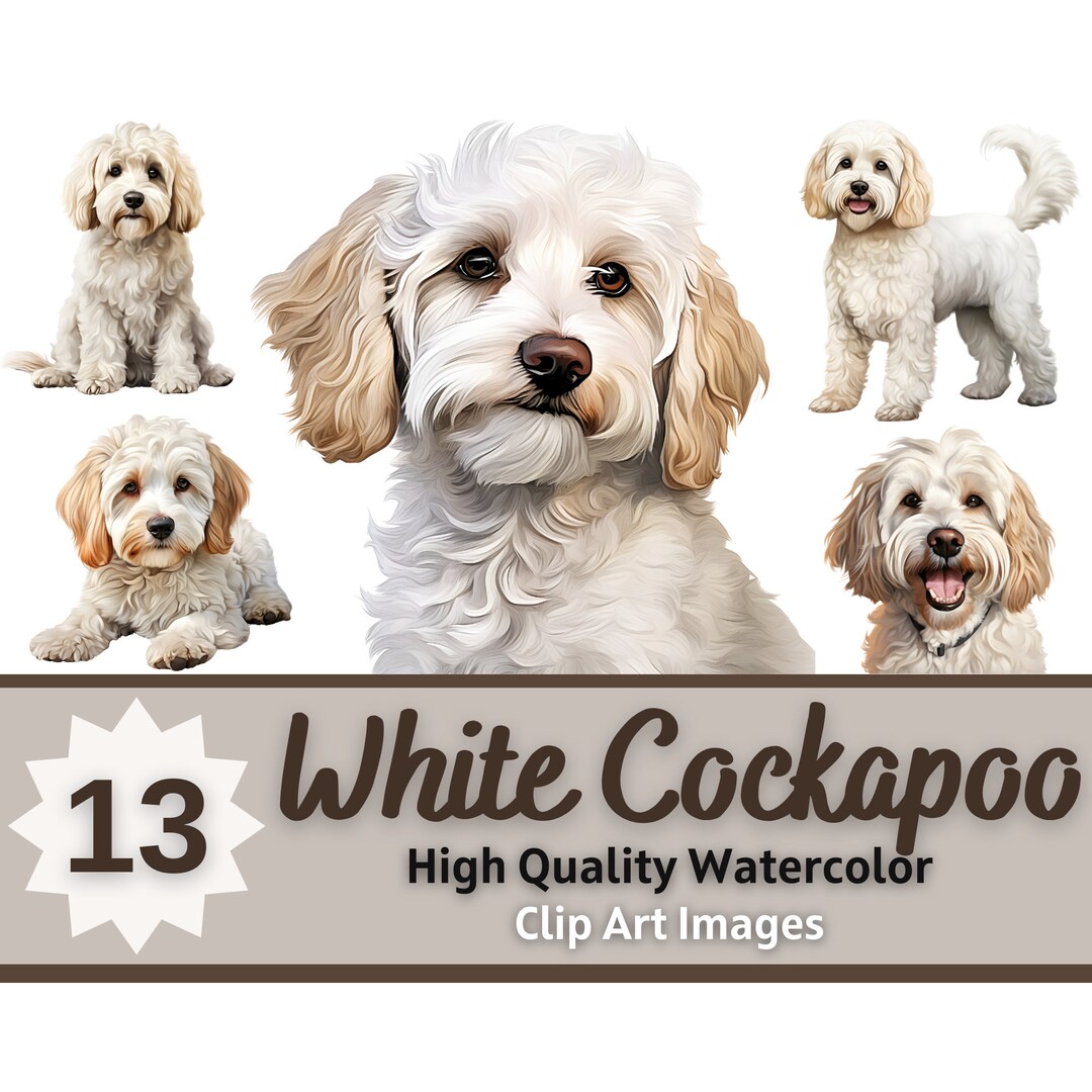 White Cockapoo Clipart Watercolor Bundle | Dog Portrait | Cockapoo PNG ...