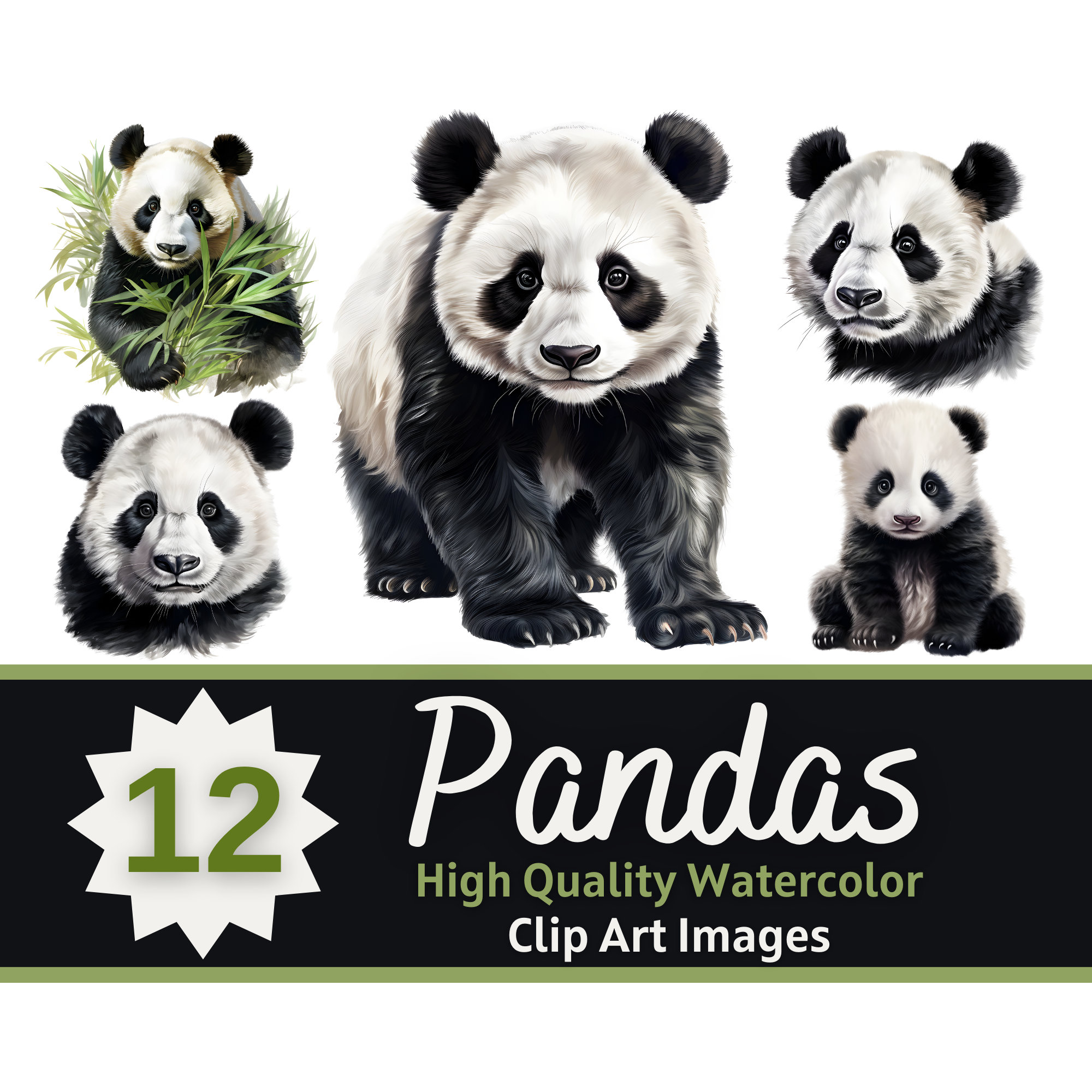 Cute Panda Clipart Watercolor Bundle Cute Panda PNG Cute - Etsy