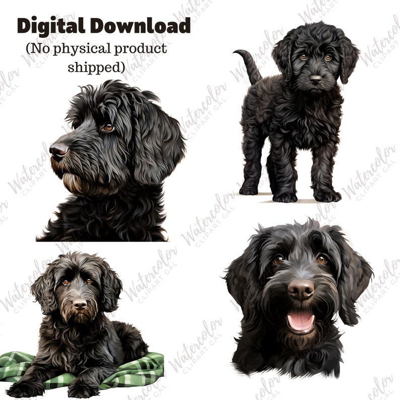 Black Labradoodle Clipart Watercolor Bundle | Dog Portrait ...