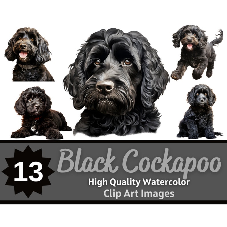 Black Cockapoo Clipart Watercolor Bundle | Dog Portrait | Black ...