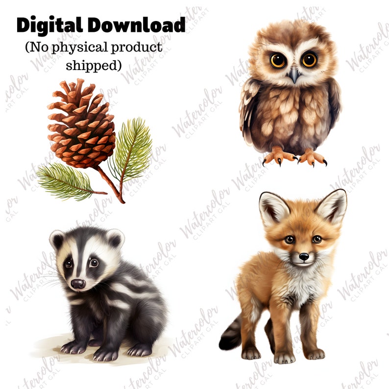 Baby Woodland Animals Clipart Watercolor Bundle Woodland Nursery ...