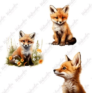 Baby Fox Clipart PNG Watercolor Bundle | Baby Animals Clipart ...