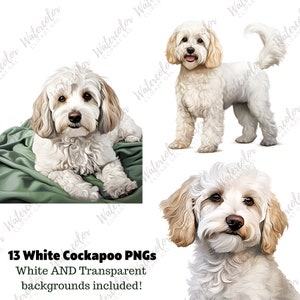 White Cockapoo Clipart Watercolor Bundle | Dog Portrait | Cockapoo PNG ...