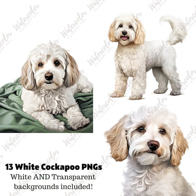 White Cockapoo Clipart Watercolor Bundle Dog Portrait Cockapoo PNG Junk ...