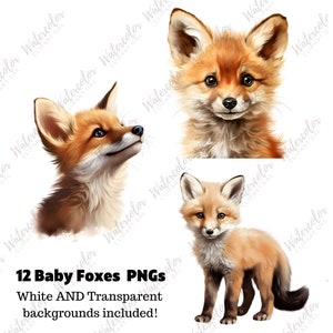 Baby Fox Clipart PNG Watercolor Bundle | Baby Animals Clipart ...