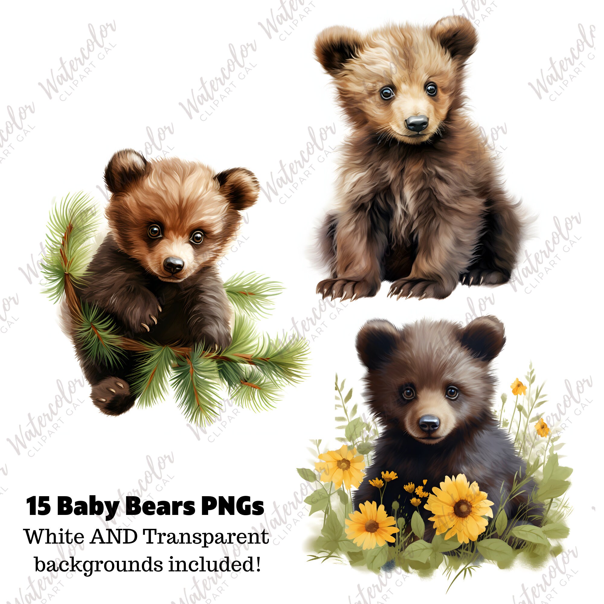 Baby Bear PNG Watercolor Bundle Baby Bear Clipart Baby Animal Clipart ...