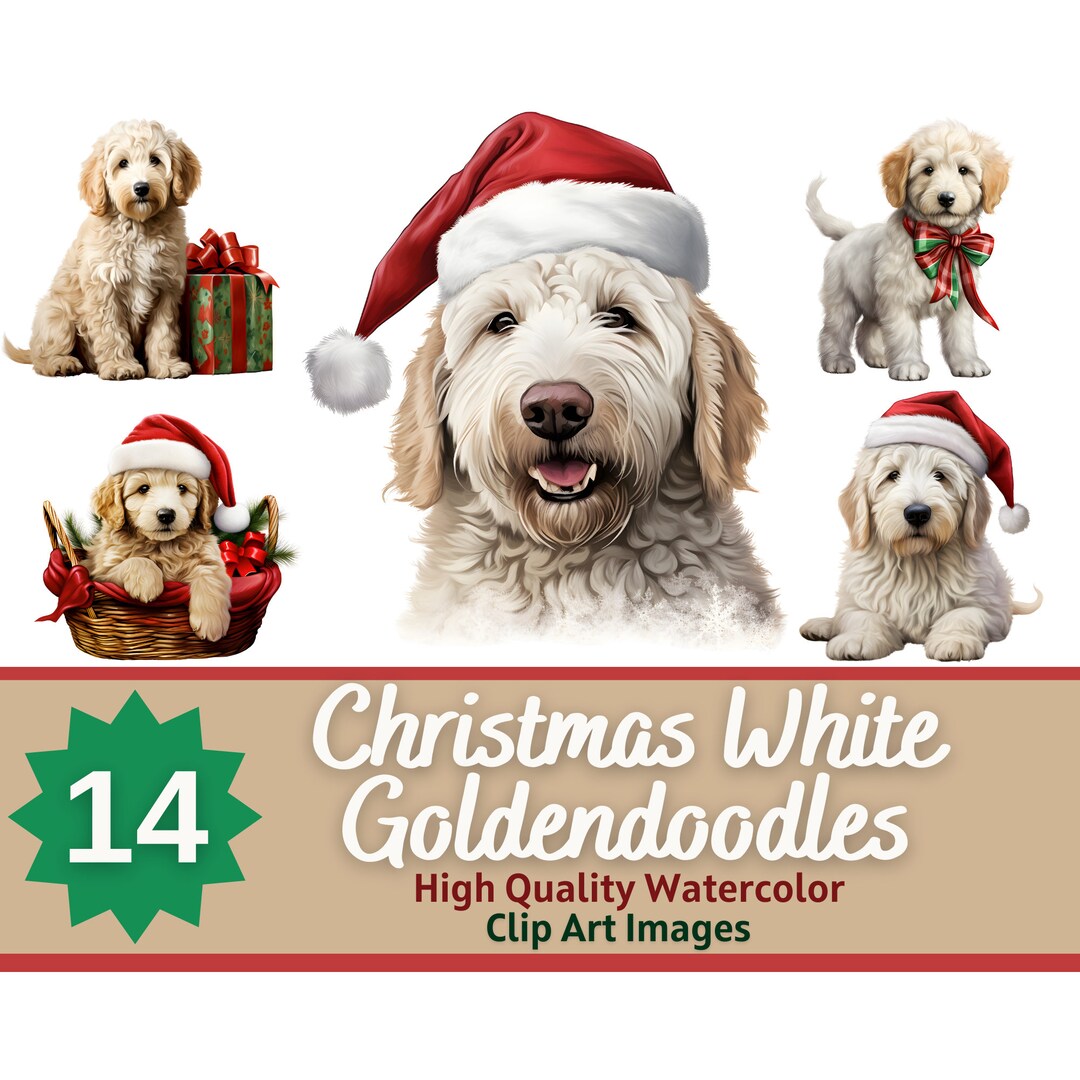 Christmas White Goldendoodle Watercolor Bundle | Christmas Dog Clipart ...