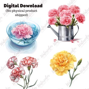 Carnation Clipart Watercolor Bundle | Carnation PNG | Flower Clipart ...