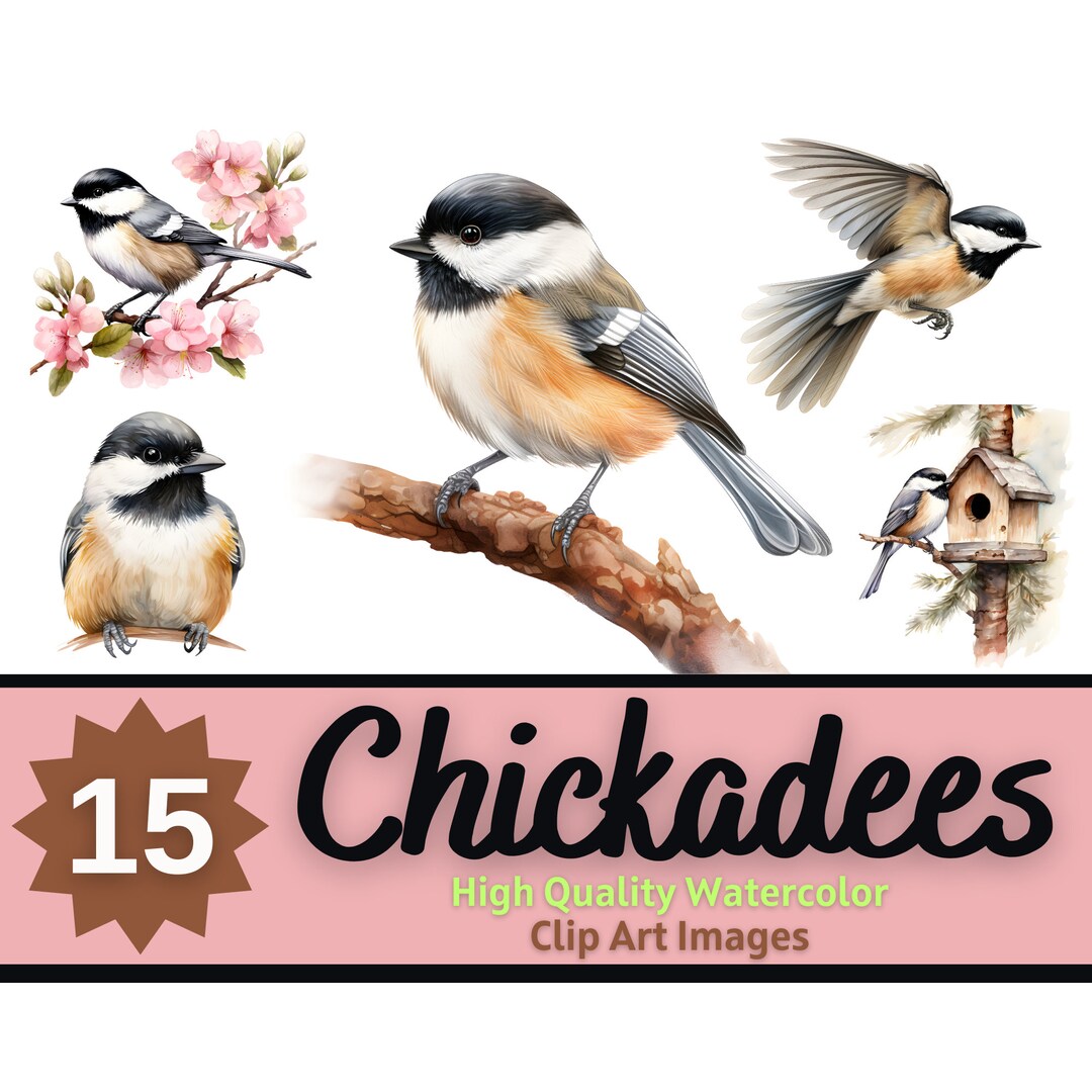 Chickadee Clipart Bundle | Chickadee PNG | Chickadee Watercolor Bird ...