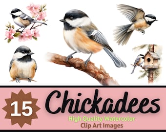 Chickadee PNG Chickadee Clipart Set Watercolor Chickadee Birds Clipart ...