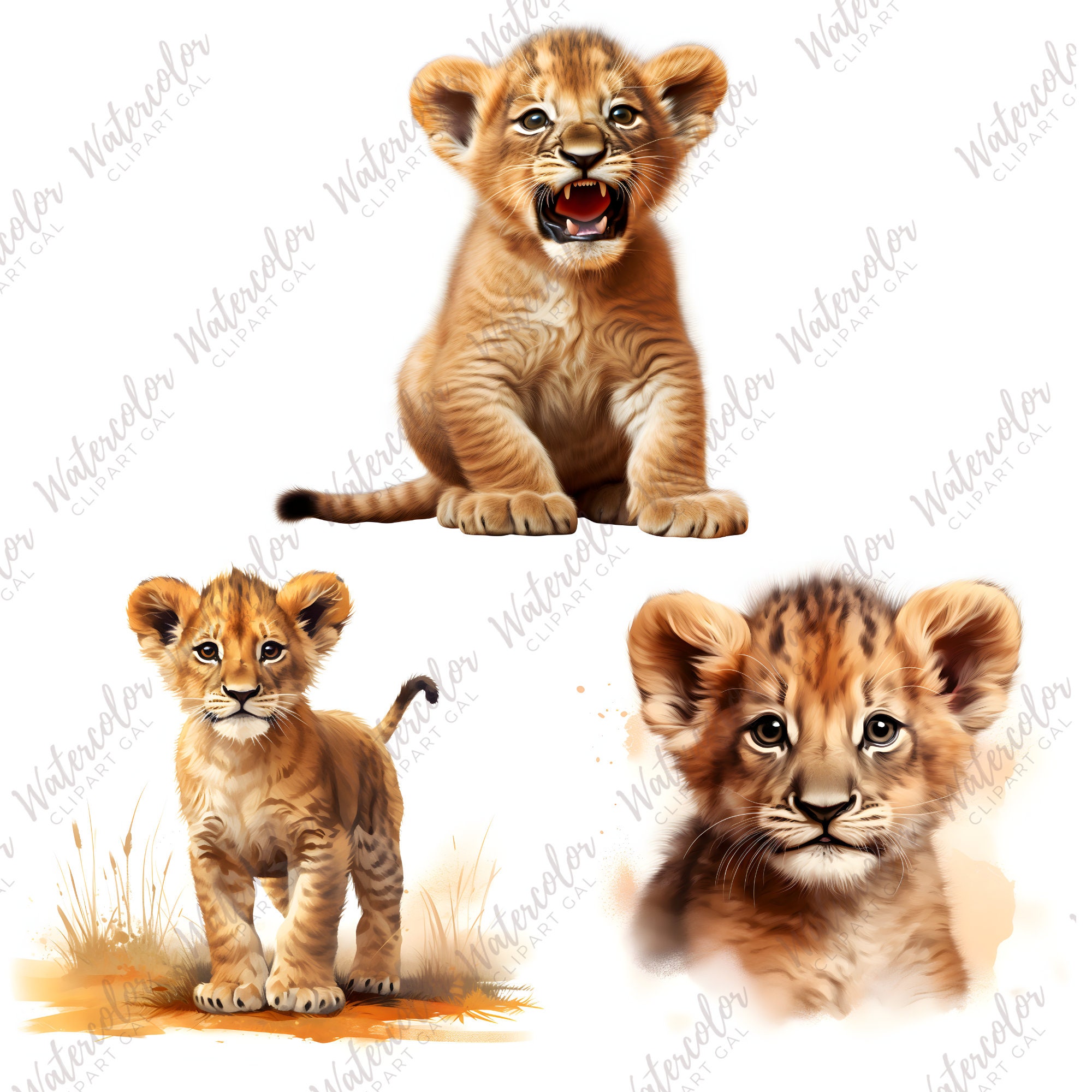 Baby Lion Clipart PNG Watercolor Bundle | Baby Animals Clipart | Safari ...