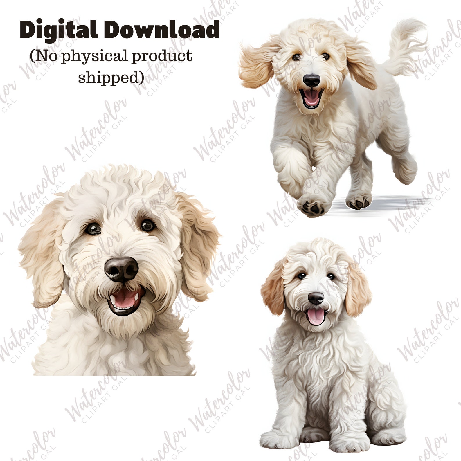 White Goldendoodle PNG Clipart Watercolor Bundle | Dog Portrait | Dog ...