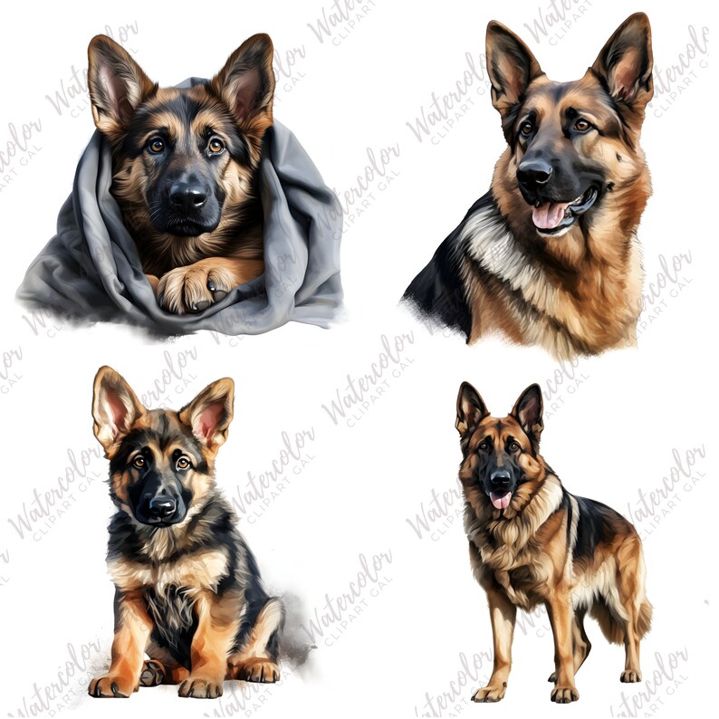 German Shepherd Clipart Watercolor Bundle Dog Portrait German Shepherd ...