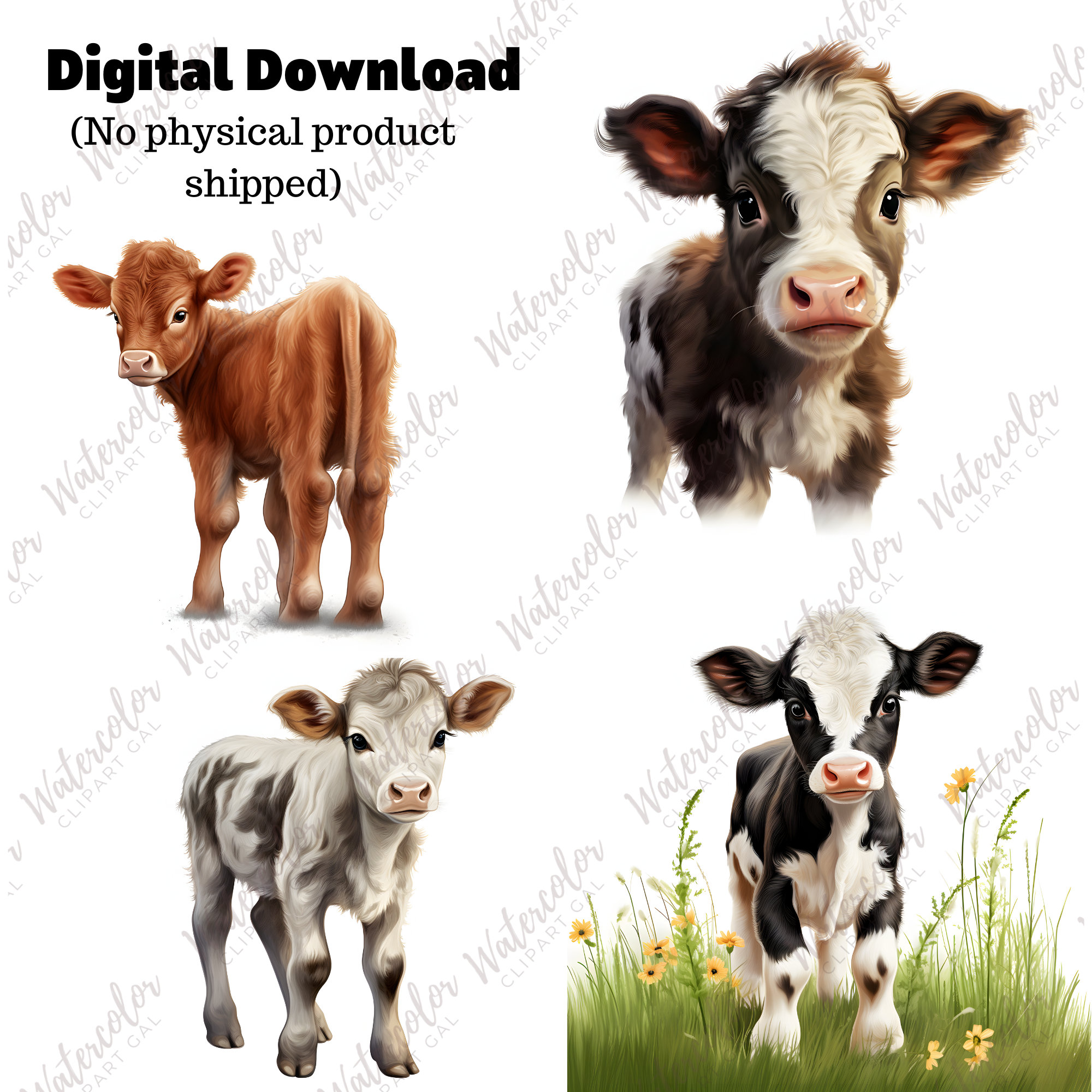 Baby Cow PNG Watercolor Bundle Baby Animals Clipart - Etsy