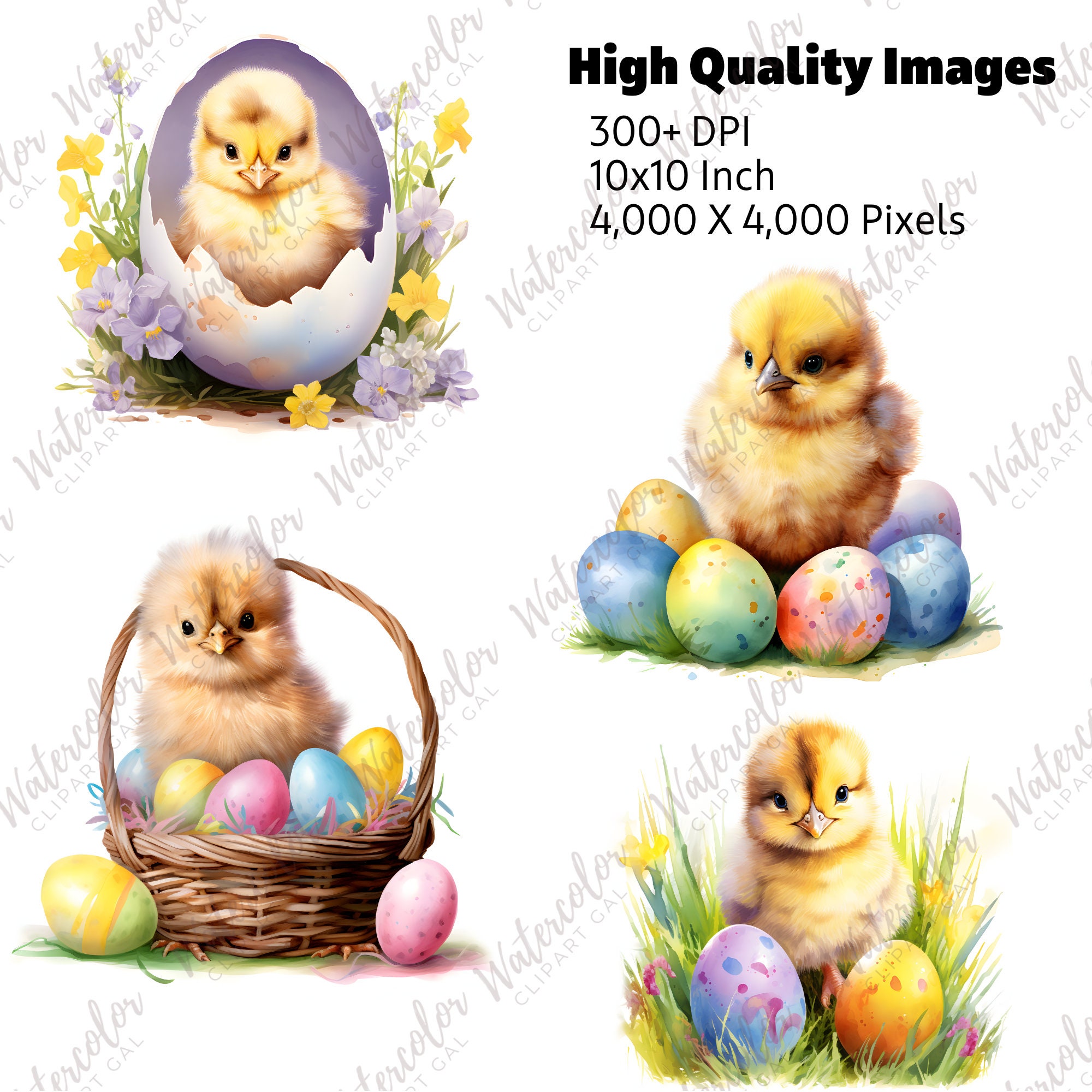 Easter Baby Chick Clipart Watercolor Bundle | Easter PNG | Easter ...