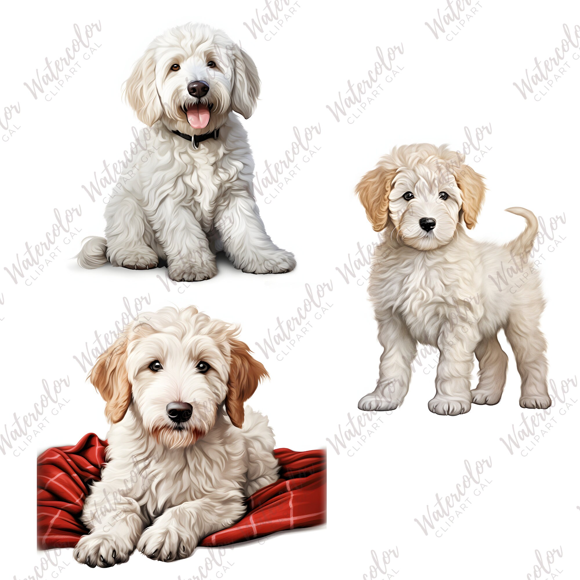 White Goldendoodle PNG Clipart Watercolor Bundle Dog Portrait Dog Lover ...