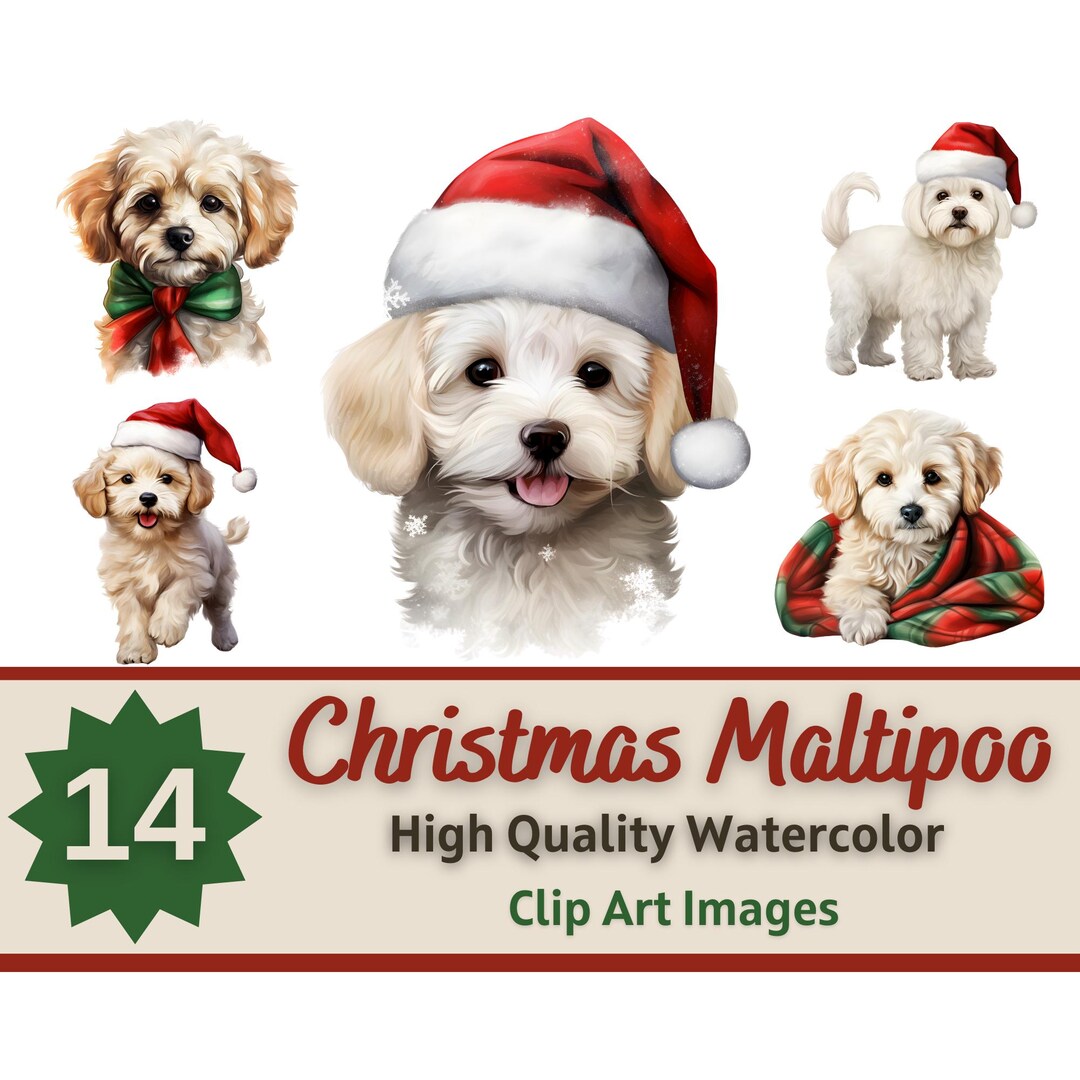 Christmas Maltipoo Clipart Watercolor Bundle | Dog Portrait | Christmas ...