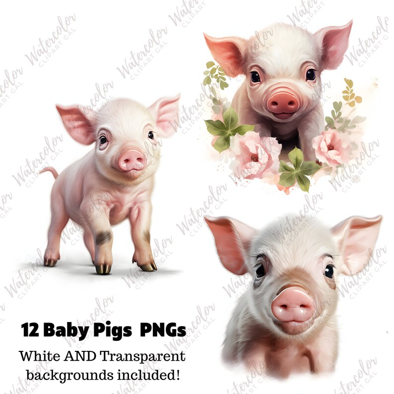 Baby Pig Clipart Watercolor Bundle | Baby Pig PNG | Baby Animals ...