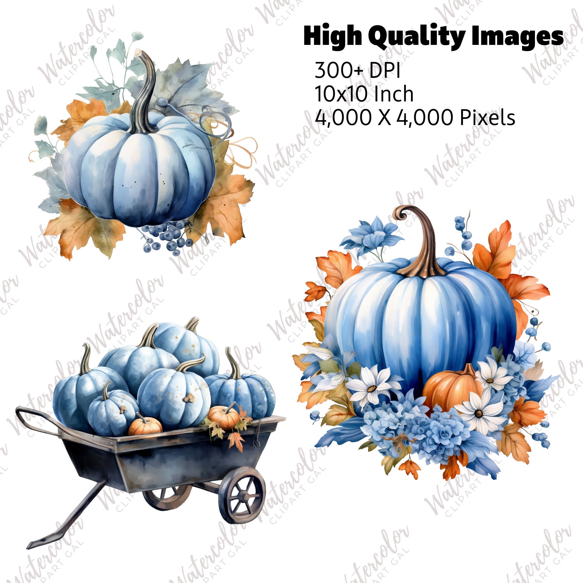Fall Blue Pumpkins Watercolor PNG Bundle Halloween Blue - Etsy